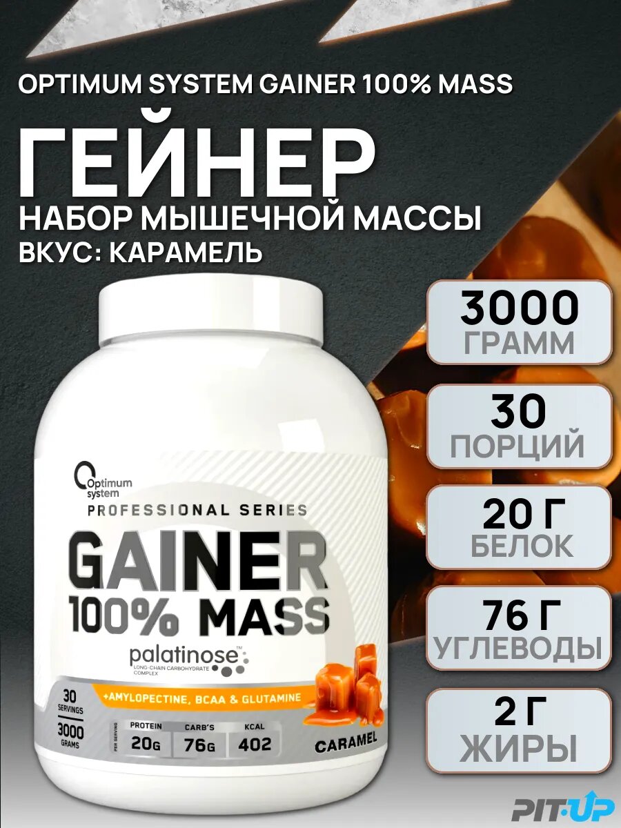 Гейнер для быстрого набора массы 100% Mass Gainer 3000гр