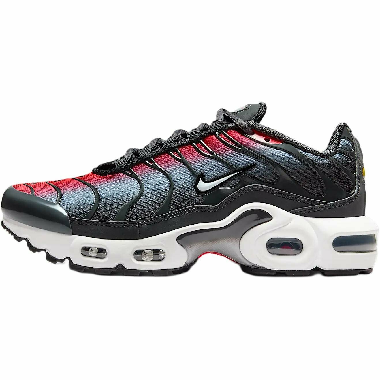Кроссовки Air Max Plus