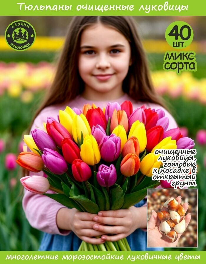 Тюльпан Луковицы , Микс сортов, 40шт