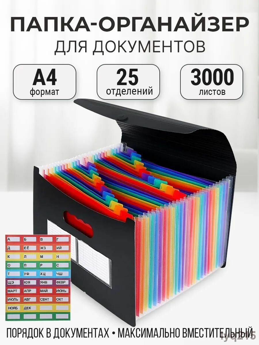 Montions Папка A4 (21 29.7 см), 1 шт.