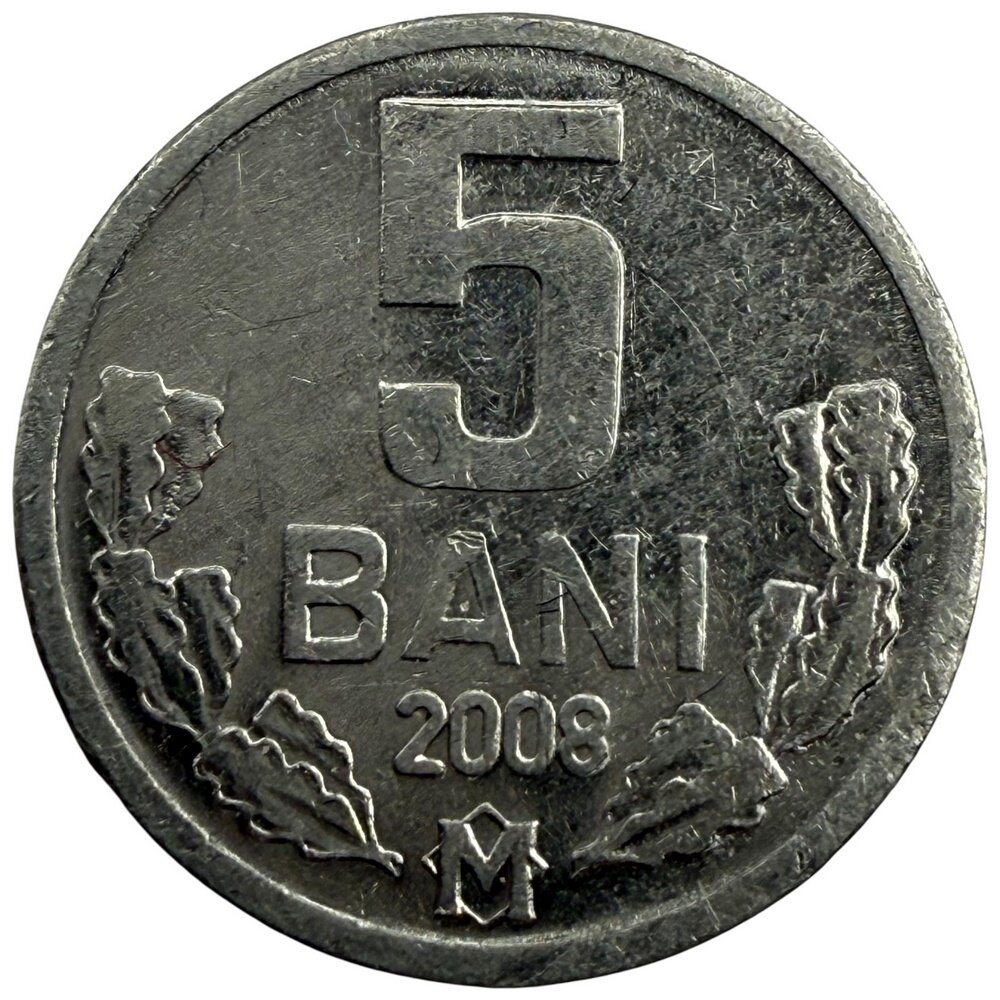 Молдова (Молдавия) 5 бани (баней) 2008 г.