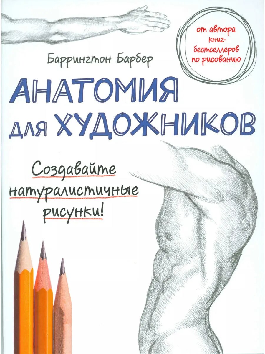 Анатомия для художников