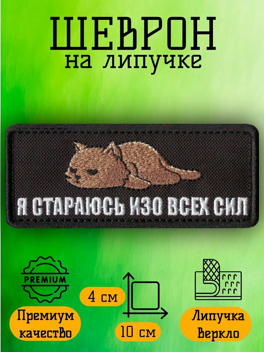 Нашивка, шеврон, патч на липучке Котик Я стараюсь изо всех сил черный 4*10 см