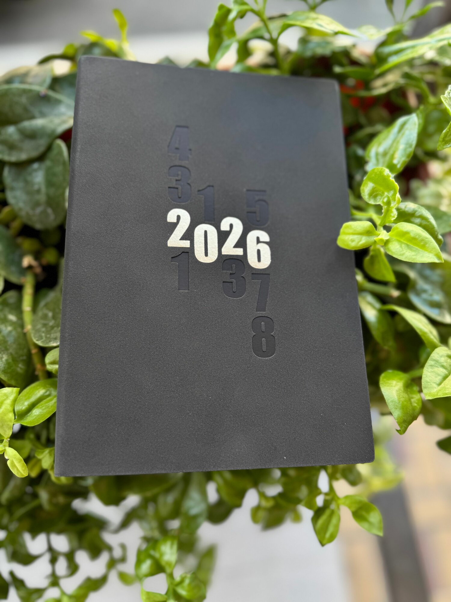 Ежедневник датированный 2026 г , формат А5, мягкий переплет, черный с золотыми цифрами, черный срез