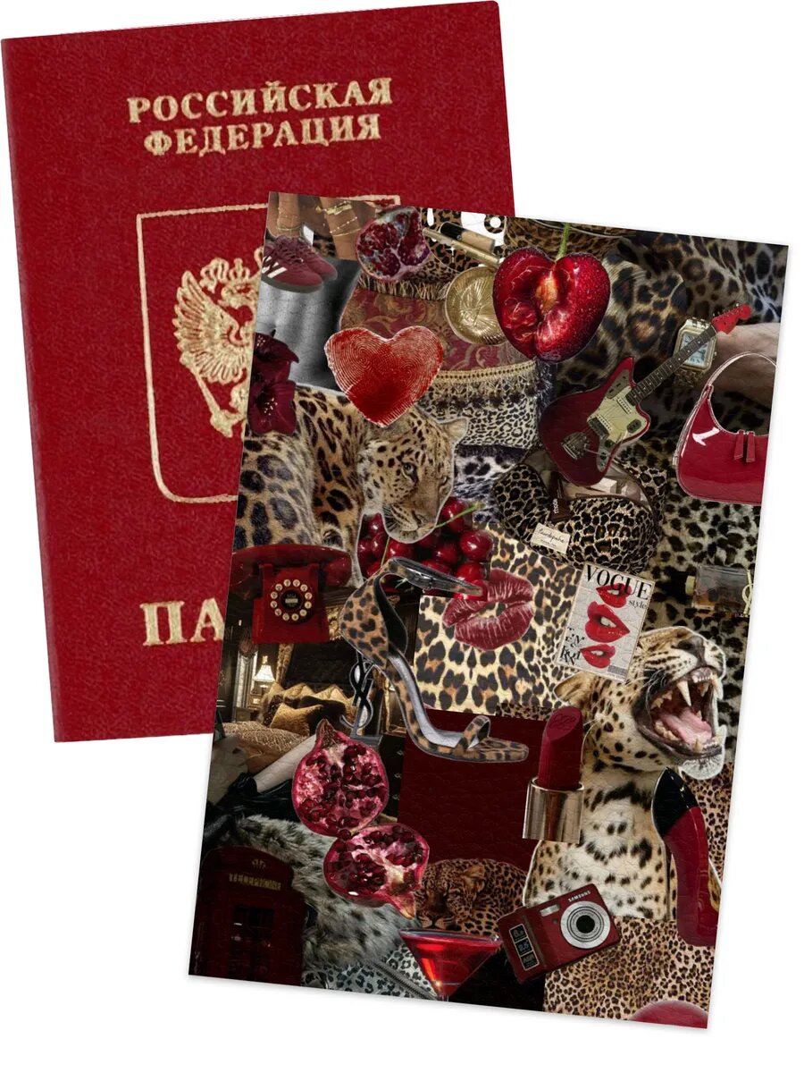 Обложка для паспорта