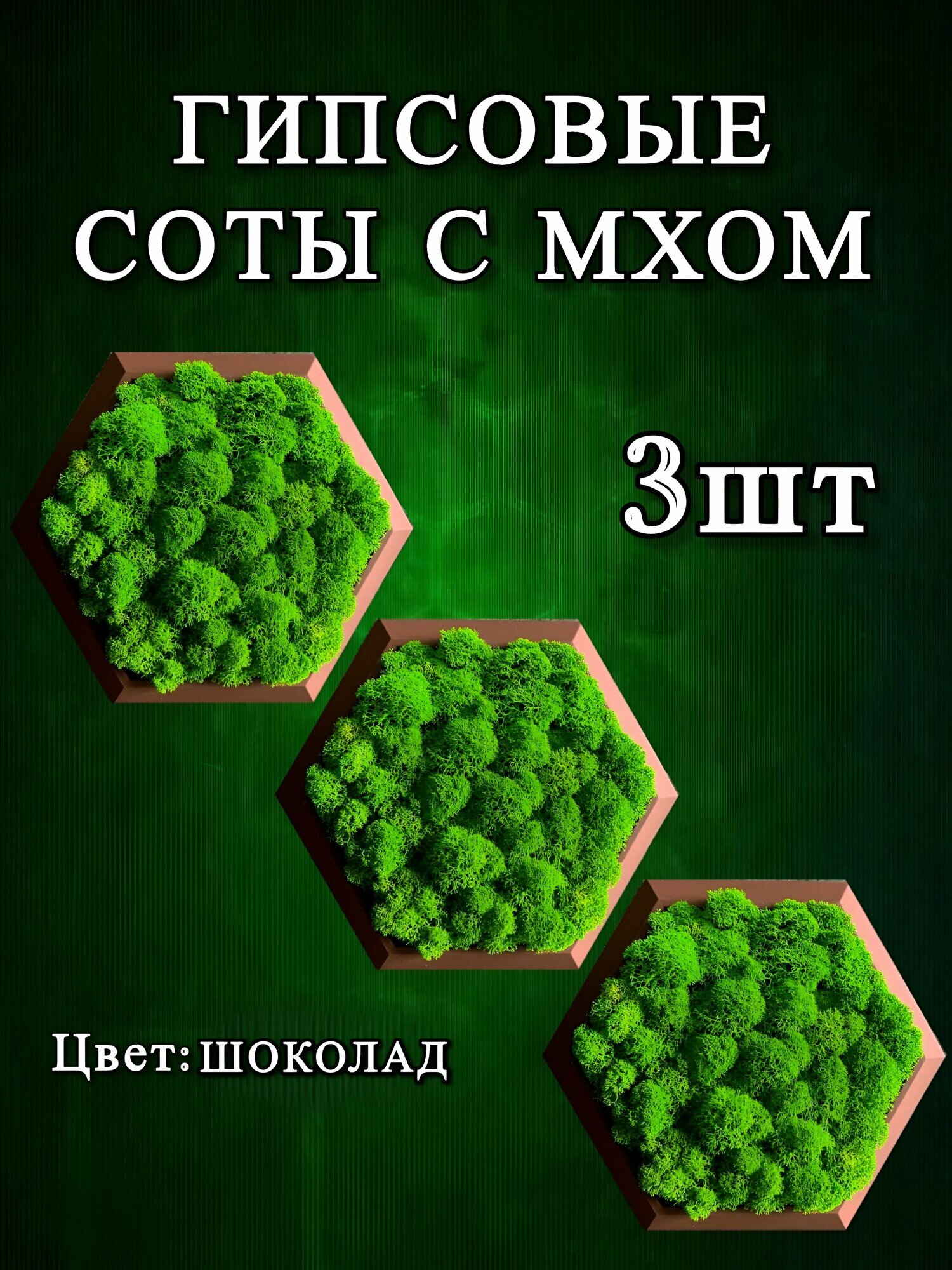 Гипсовые соты "Соты с мхом", настенные, 23.5х20.5 см, шоколадные, 3 шт