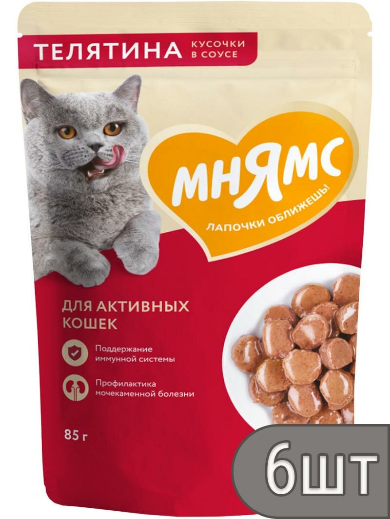 Мнямс Набор 6 шт Кусочки в соусе с телятиной для активных кошек пауч, 85г 0.51 кг