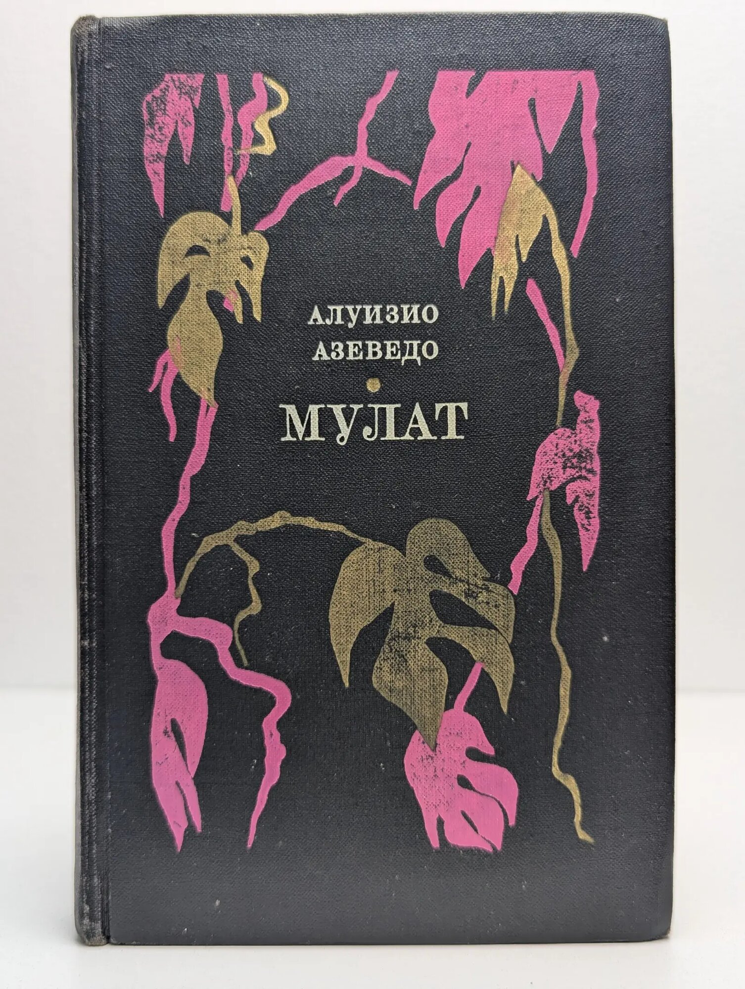 Мулат Азеведо Алуизио 1975