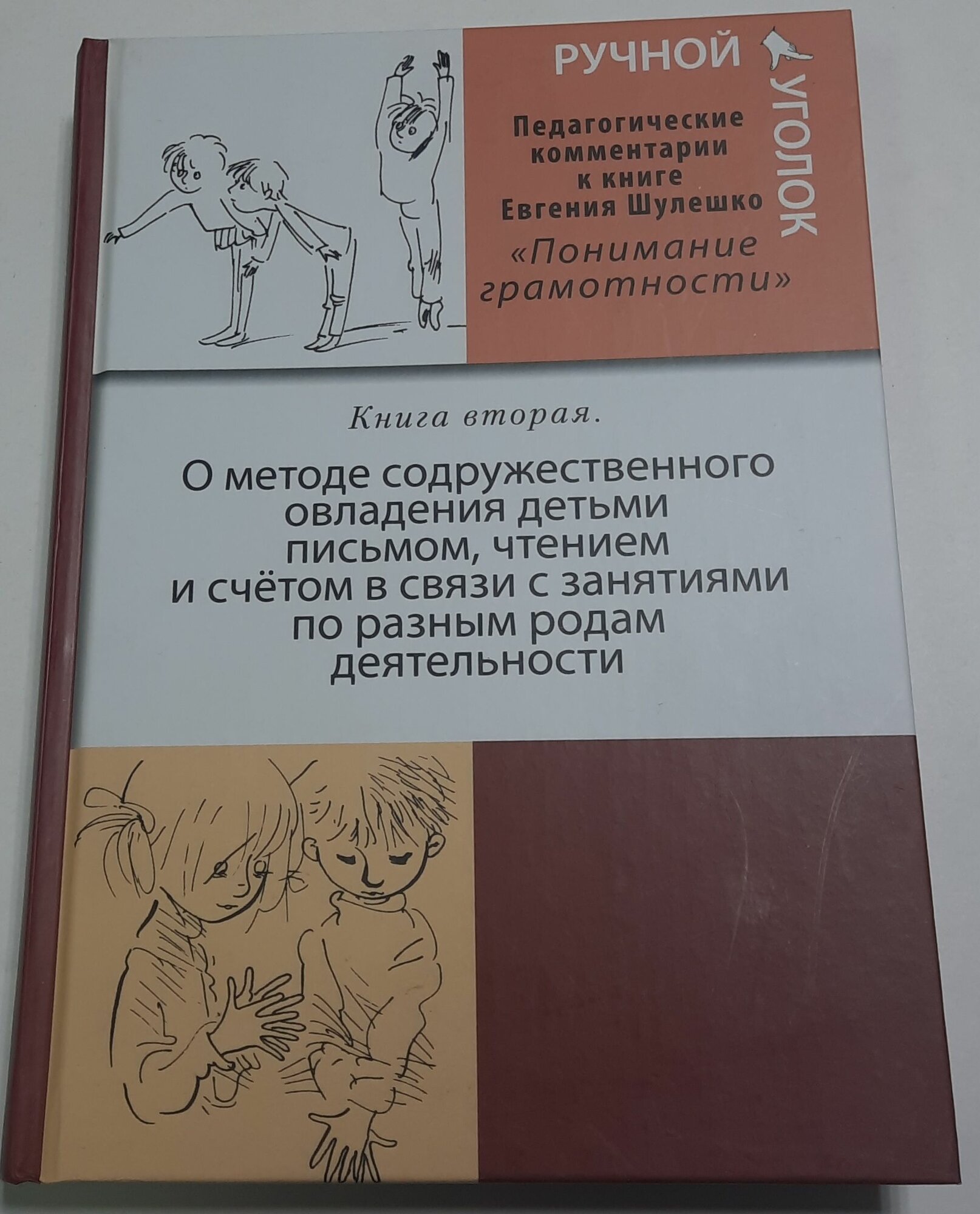 Понимание грамотности. Книга 2. О метод содружественного овладевания детьми письмом, чтением и счетом в связи с занятиями по разным родам деятельности.