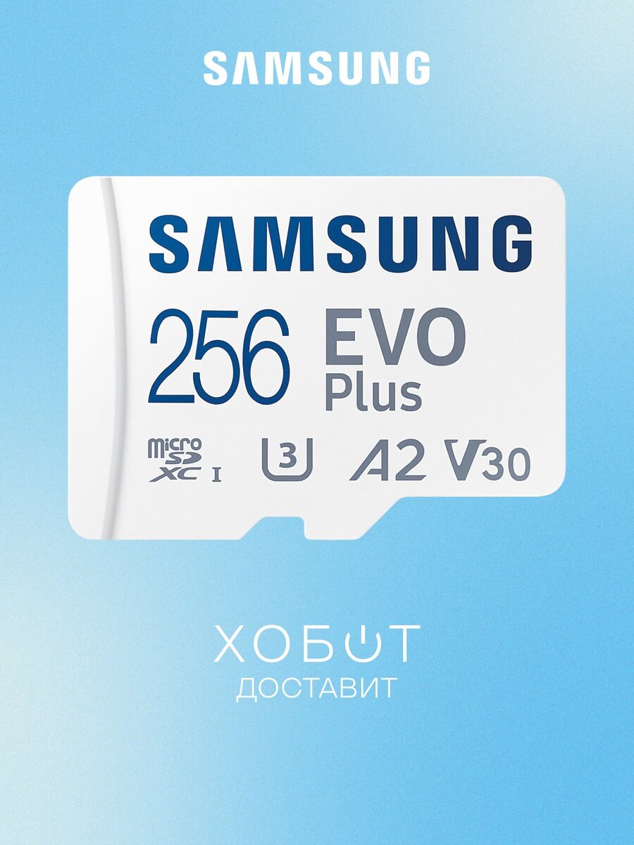 Карта памяти Samsung EVO Plus microSDXC 256Gb (MB-MC256SA/KR)