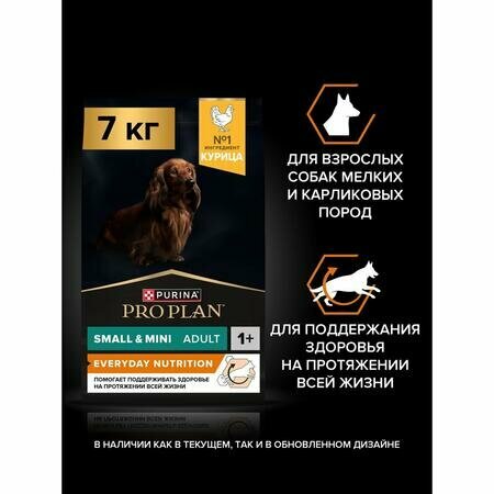 PRO PLAN EVERYDAY NUTRITION 7 кг сухой корм для взрослых собак мелких и карликовых пород, с высоким содержанием курицы