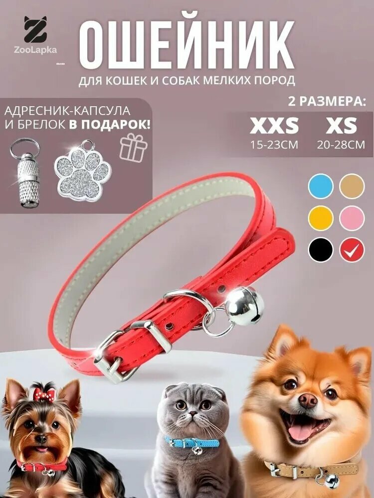 Ошейник для кошек и собак с колокольчиком и адресником