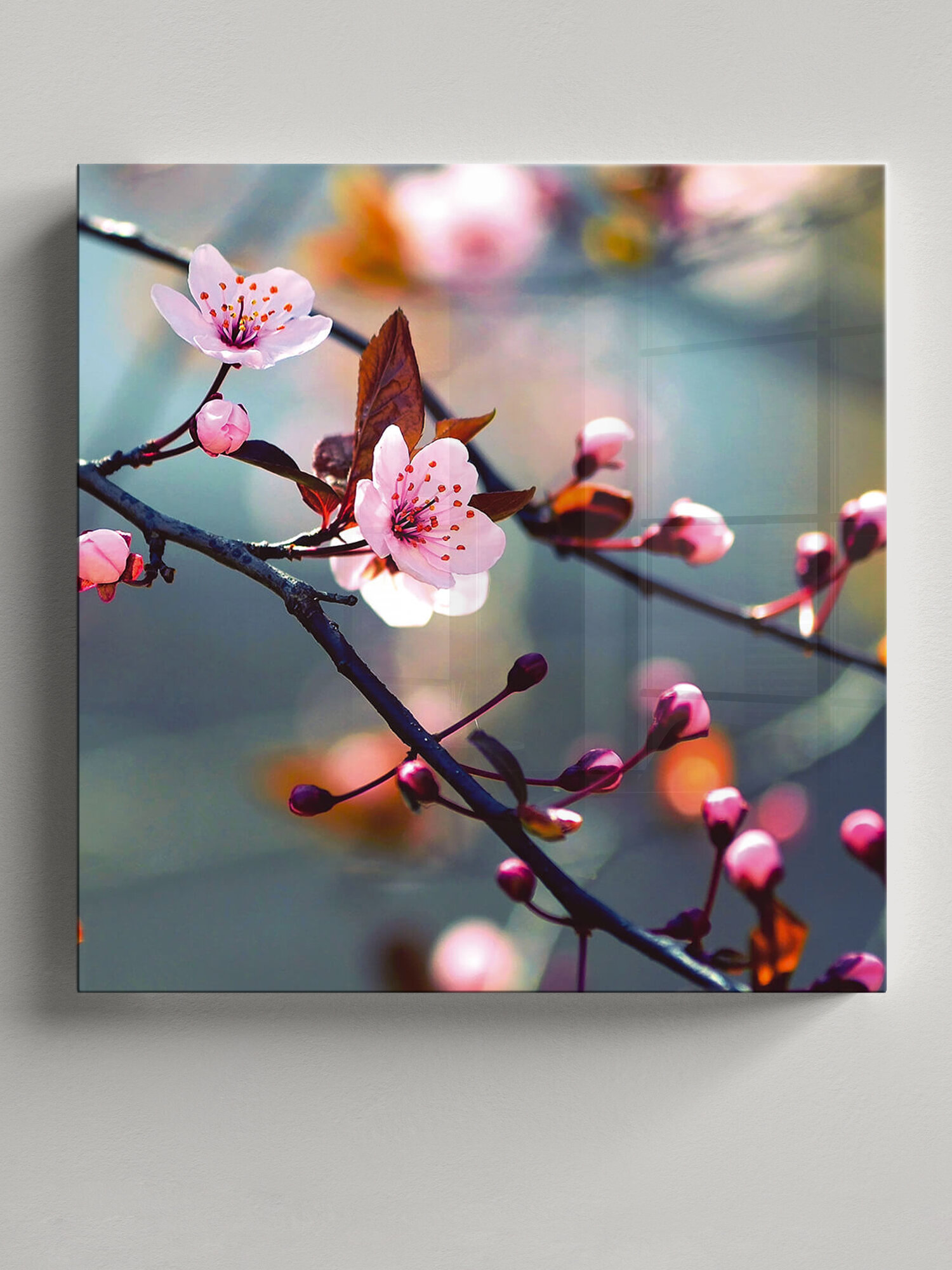 Картина Postermarket "Японская вишня" на стекле, 30 x 30 см.