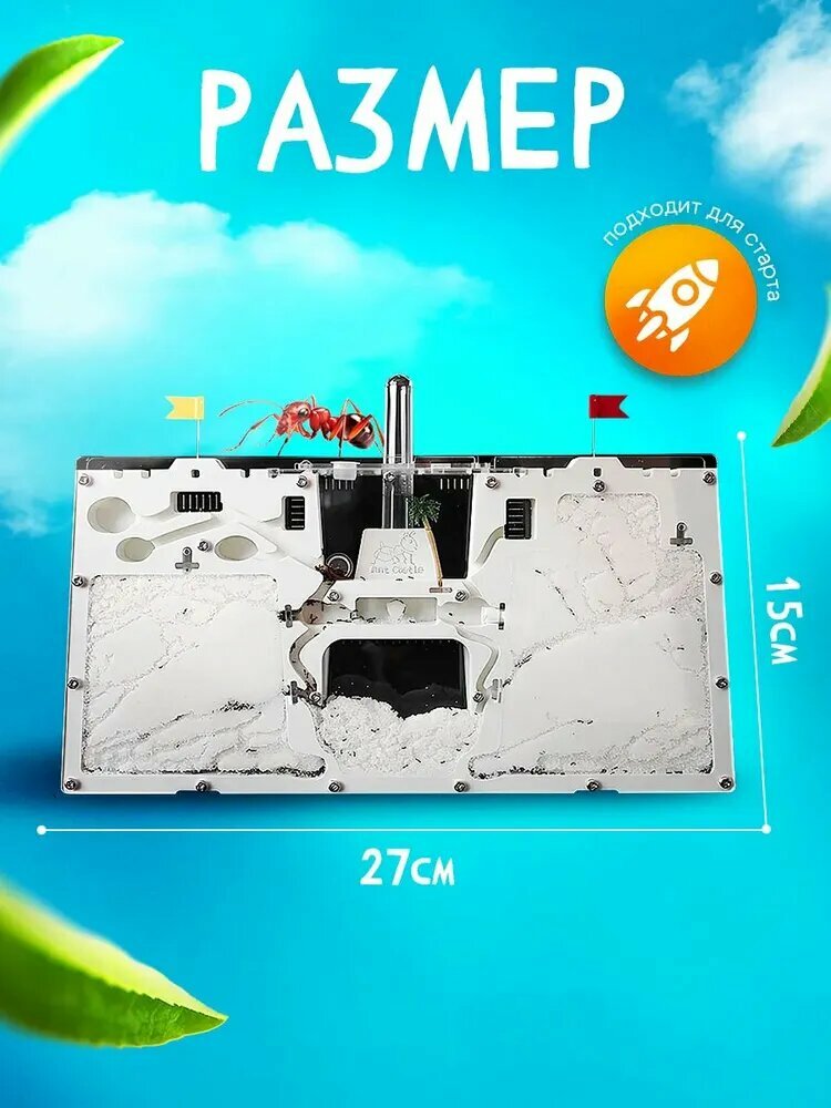 Муравьиная ферма — фото 1
