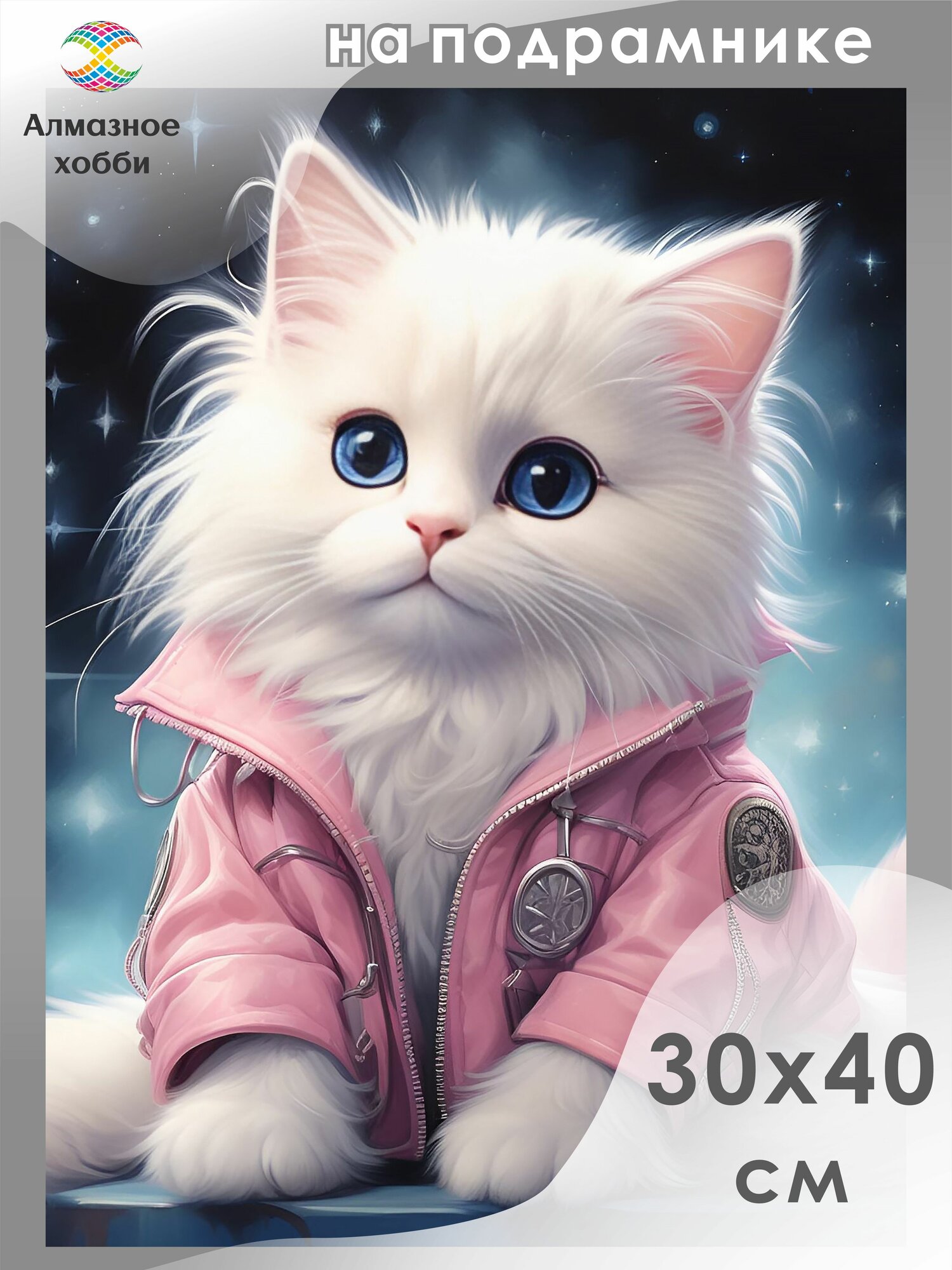 Алмазная мозаика на подрамнике Кот в куртке 30х40