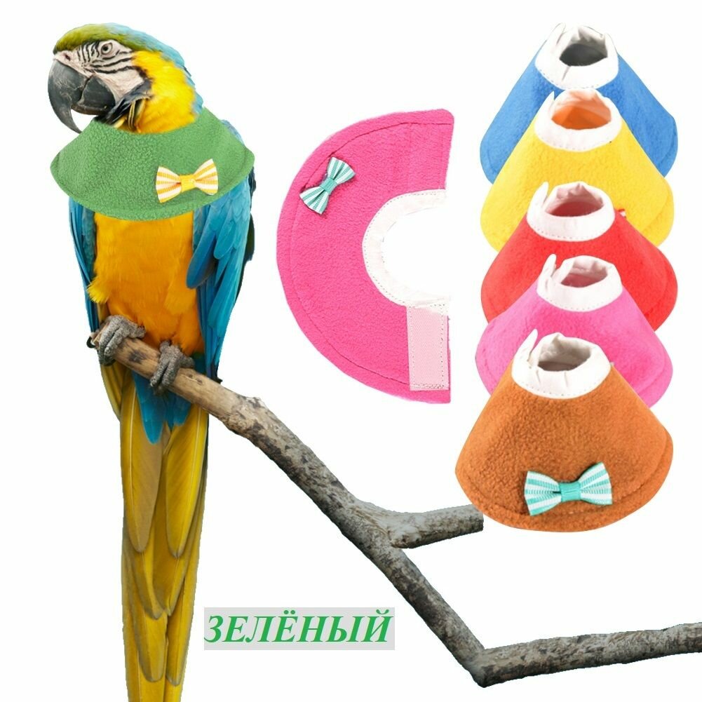 Защитный, ветеринарный, Елизаветинский воротник для попугая, птиц
