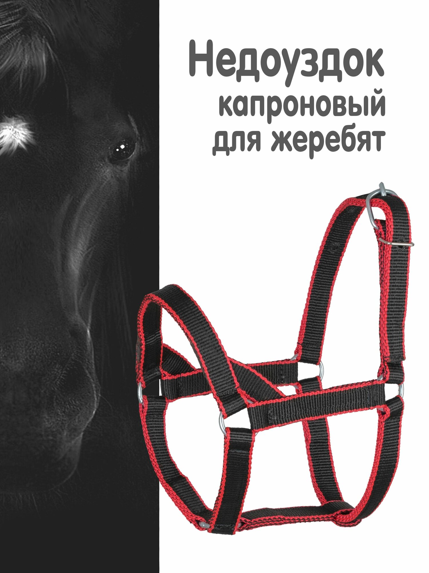 Недоуздок для жеребят двойной капрон 20 мм