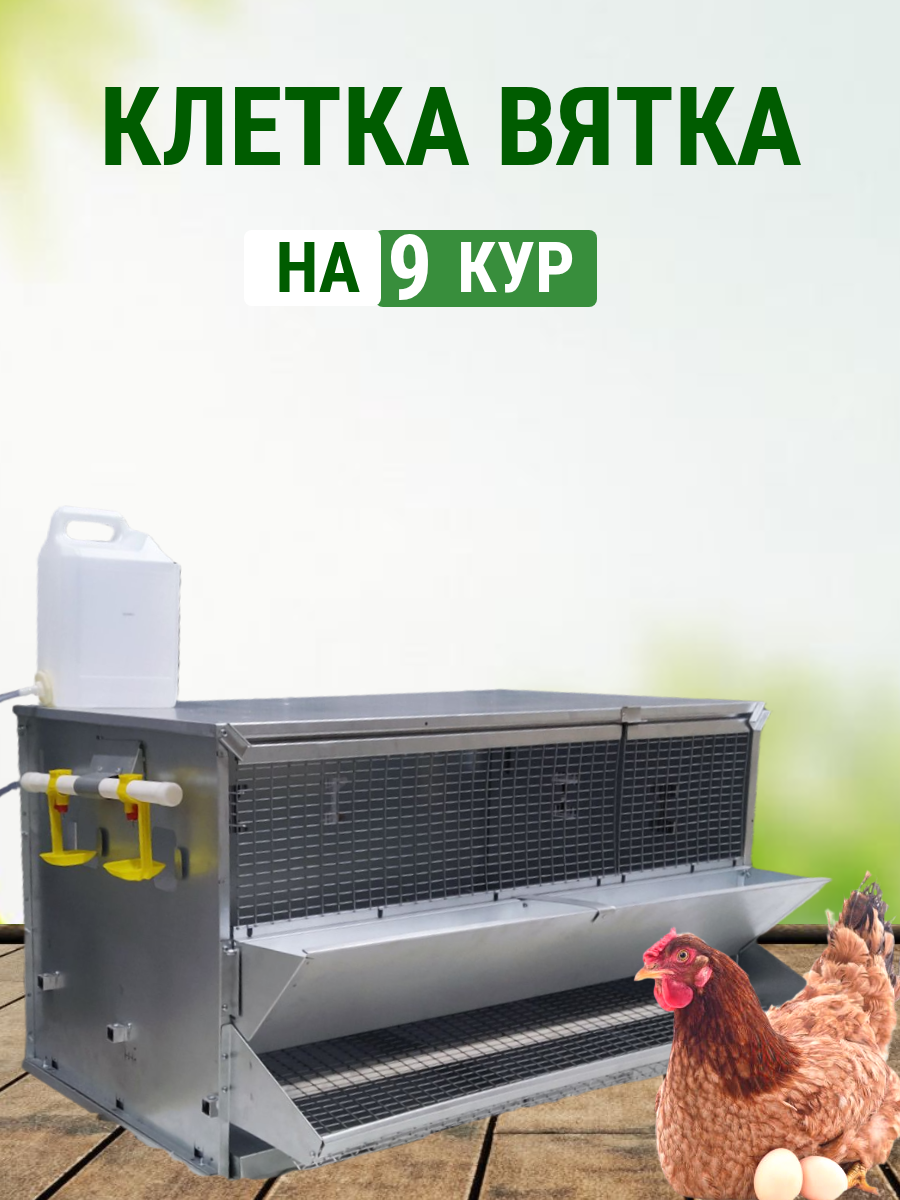 Клетка для кур-несушек до 9 голов Вятка в полной комплектации