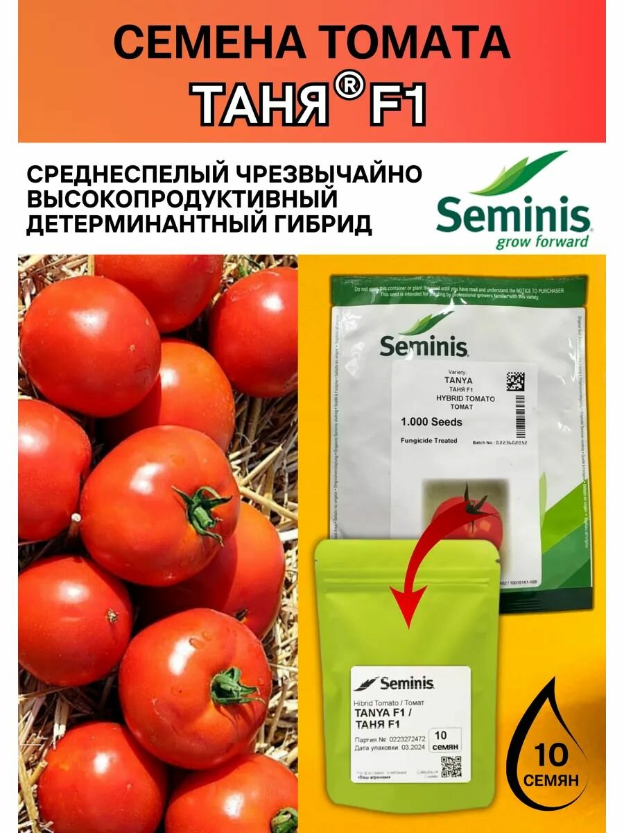 Томат Таня F1 10 семян Seminis, профессиональные семена
