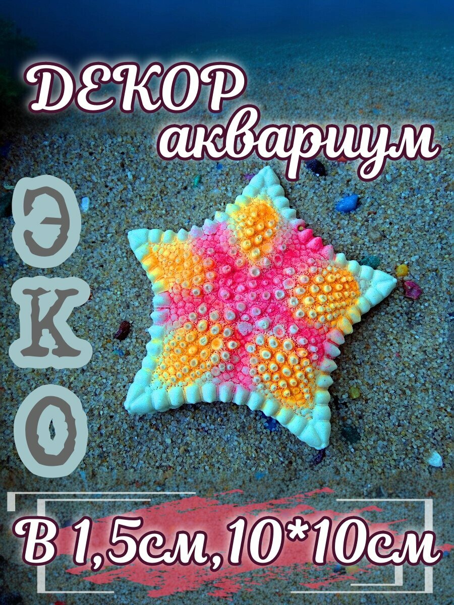 Звезда "Печенька" коралл ЭКО, для аквариума, натуральный вид, эко коралл, 10х10 см