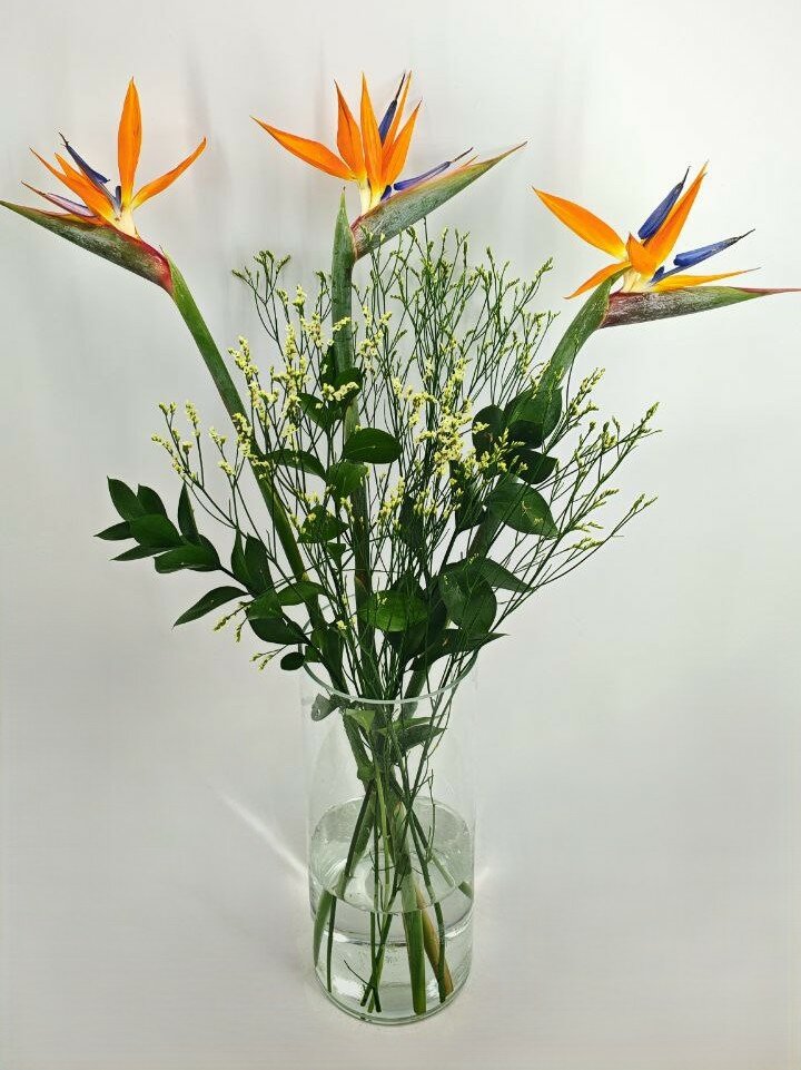 Экстравагантный букет из стрелиций, веточек лимониума и рускуса. Цветок Стрелиция "Райская птица"