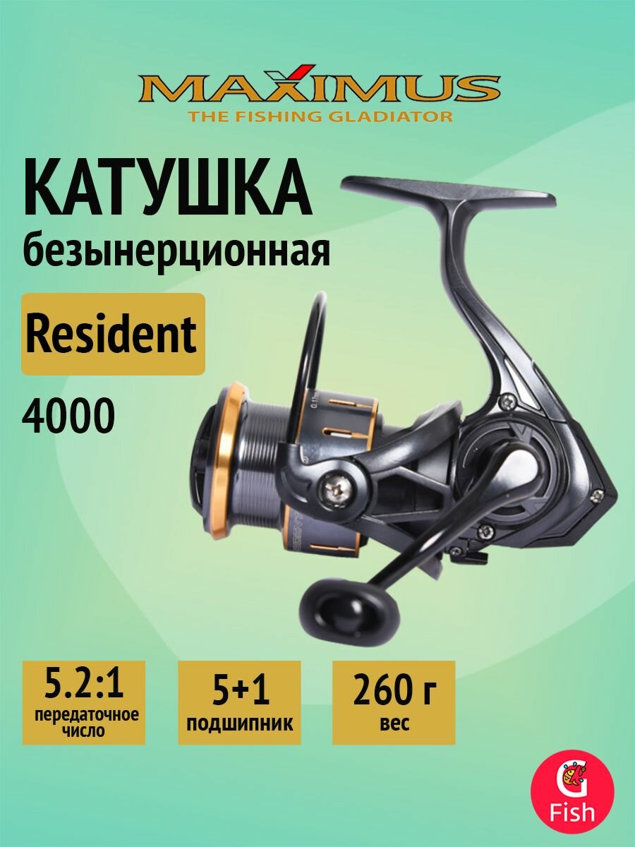 Катушка безынерционная Maximus Resident 4000, Китай, (5+1 подш.)