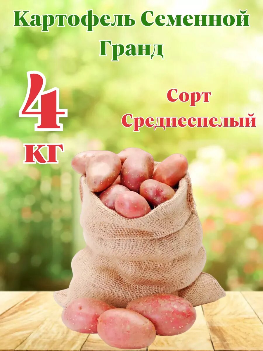 Картофель Семенной Гранд 4кг