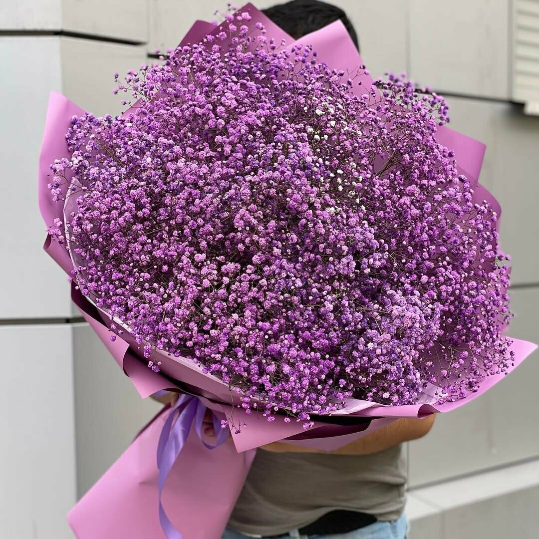 Букет из фиолетовой гипсофилы 25 шт, красивый букет цветов, шикарный, премиум цветы, премиум букет