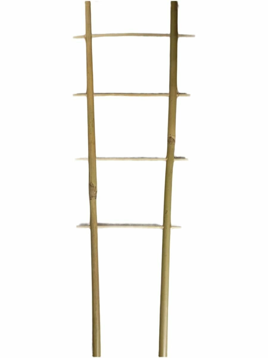 Бамбуковая решетка 45см - опора для растений ( 1ШТ )