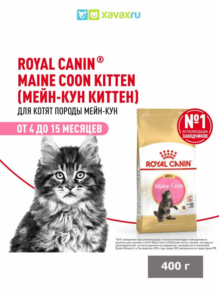 Сухой корм Royal Canin Maine Coon Kitten сбалансированный для котят породы Мэйн Кун, 400 г
