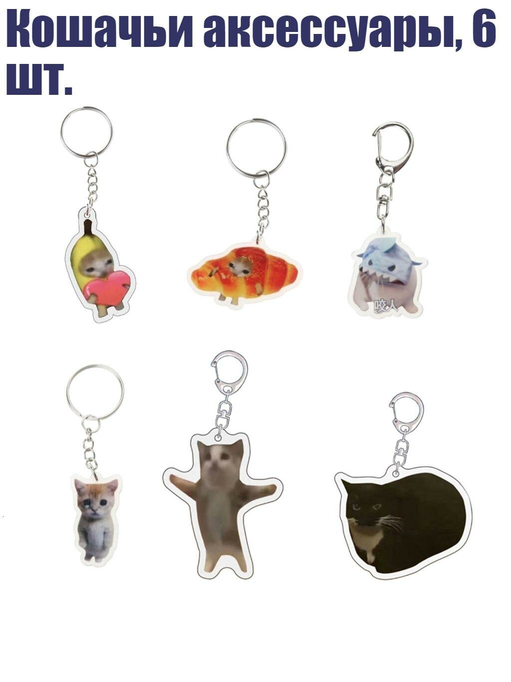Кошачьи аксессуары, 6 шт.