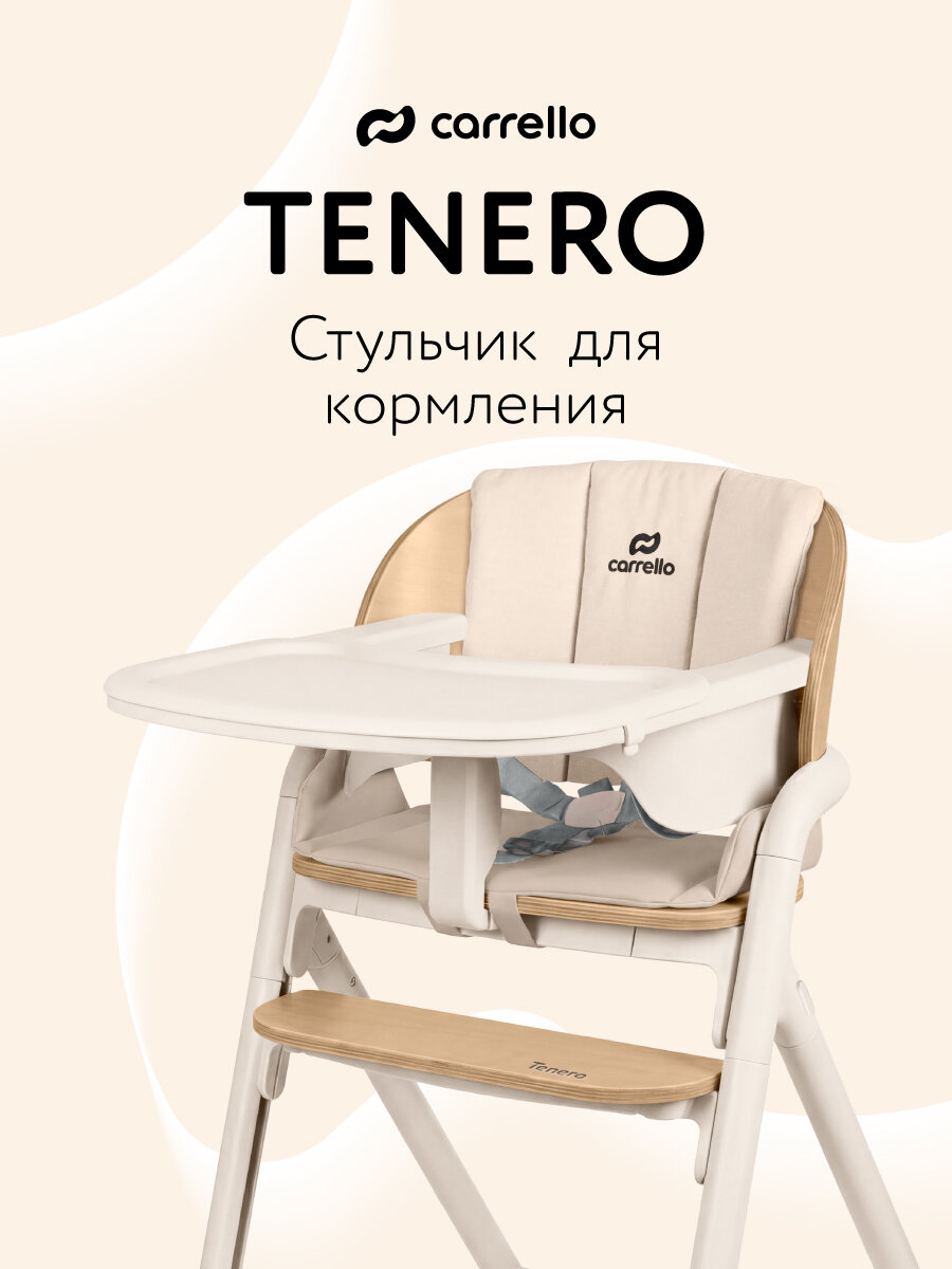 Стульчик для кормления CARRELLO Tenero 9507, многофункциональный, 6 уровней регулировки