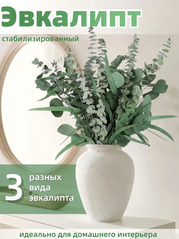 Сухоцветы Эвкалипт, 43 см, 140 гр, 1 шт