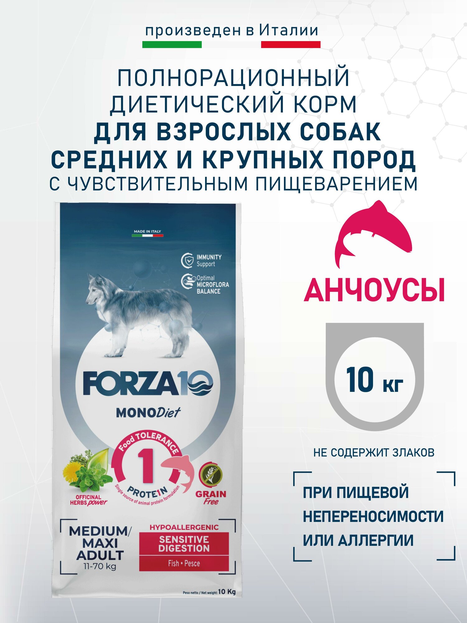 Корм сухой для собак Forza10 DIET Mono беззерновой, с рыбой, для средних и крупных пород, 10 кг