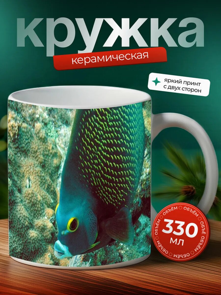 Кружка Рыба-ангел рыба 18,