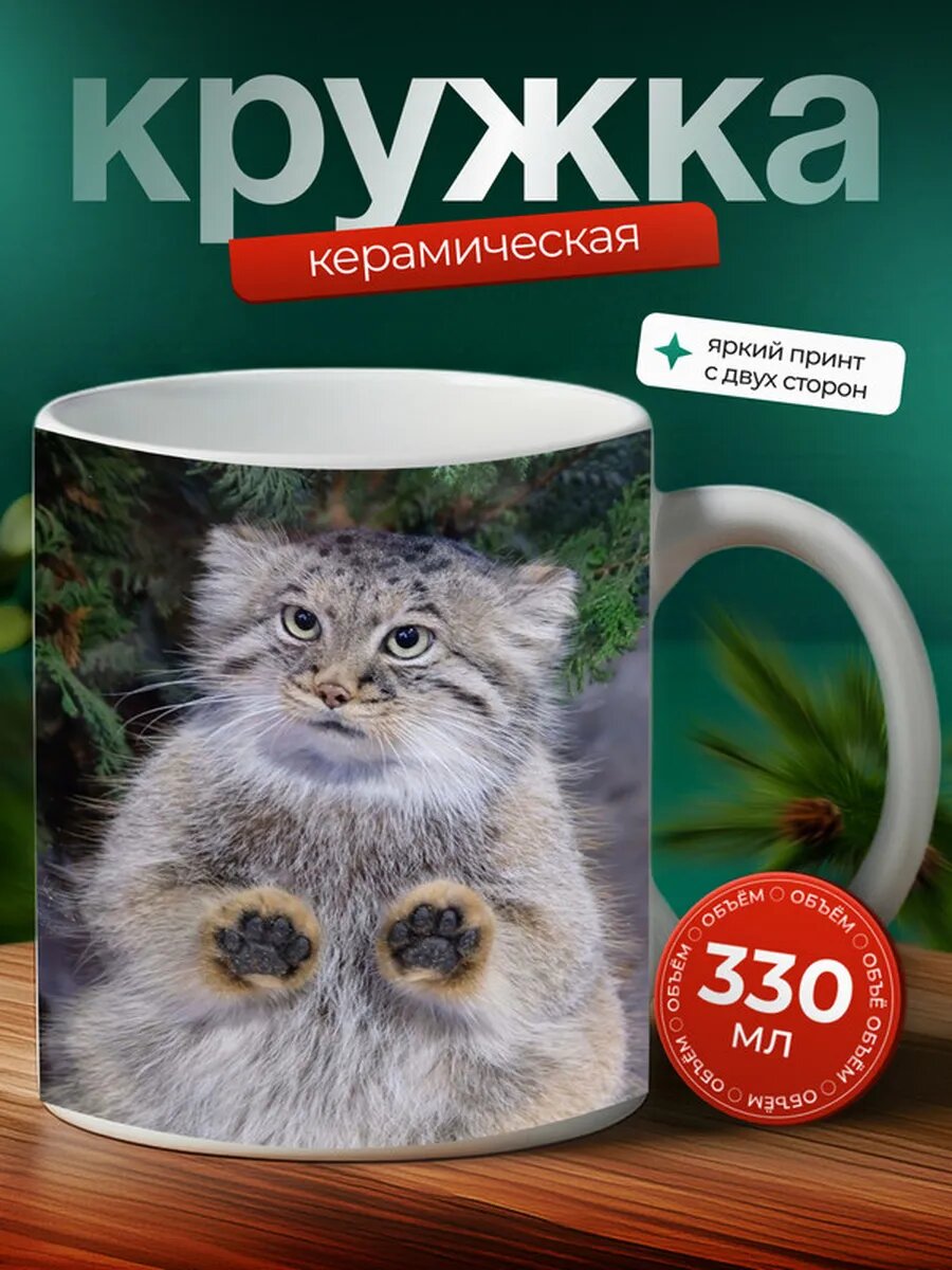 Кружка Манул животное 2,