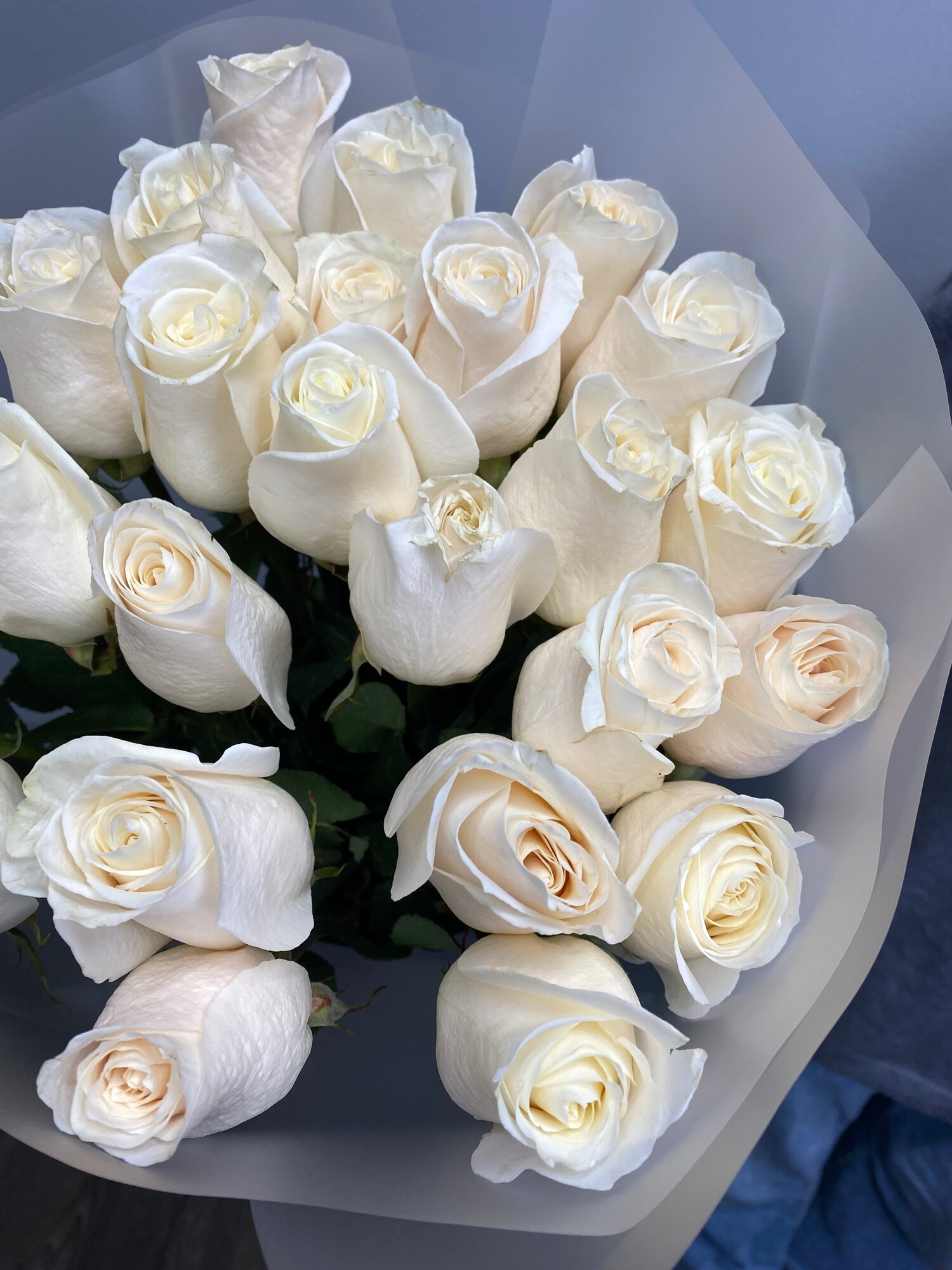 Букет живых цветов NURA FLOWERS "Белые розы", 25 роз, стебли, высота 70 см