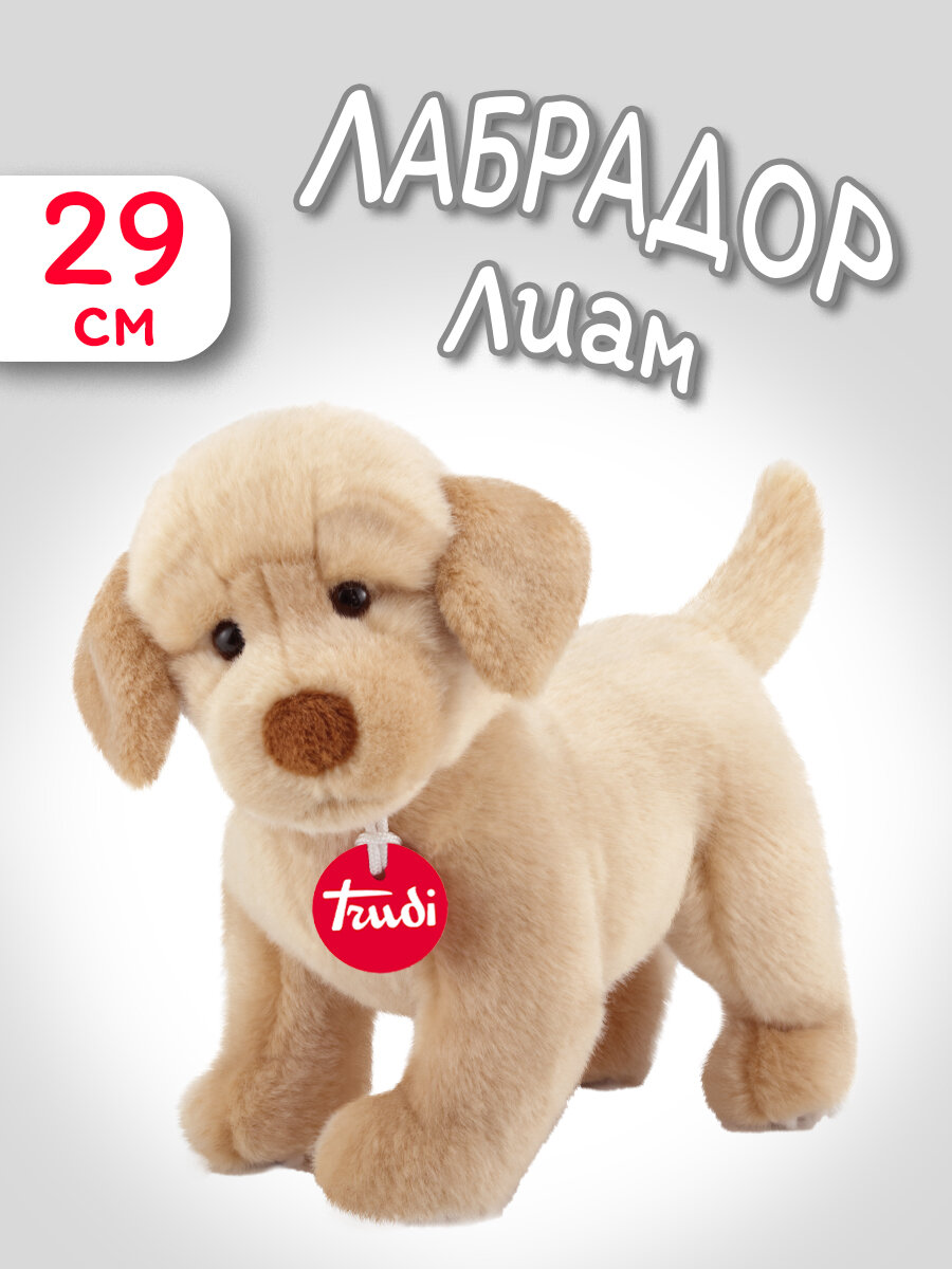 Мягкая игрушка Trudi Лабрадор Лиам 29 см