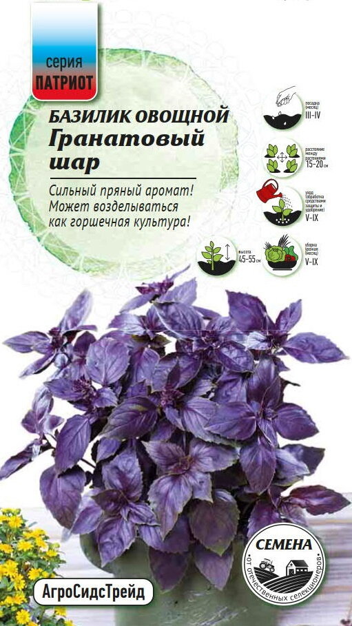 Семена пряных трав Патриот базилик Гранатовый шар, (5 упак.)