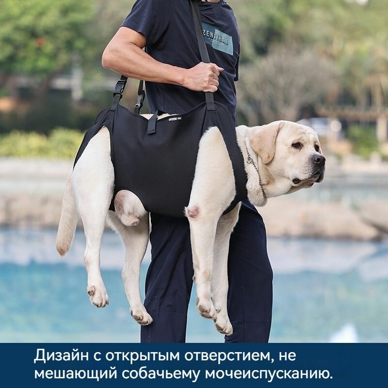 Ходунки для собак — фото 1