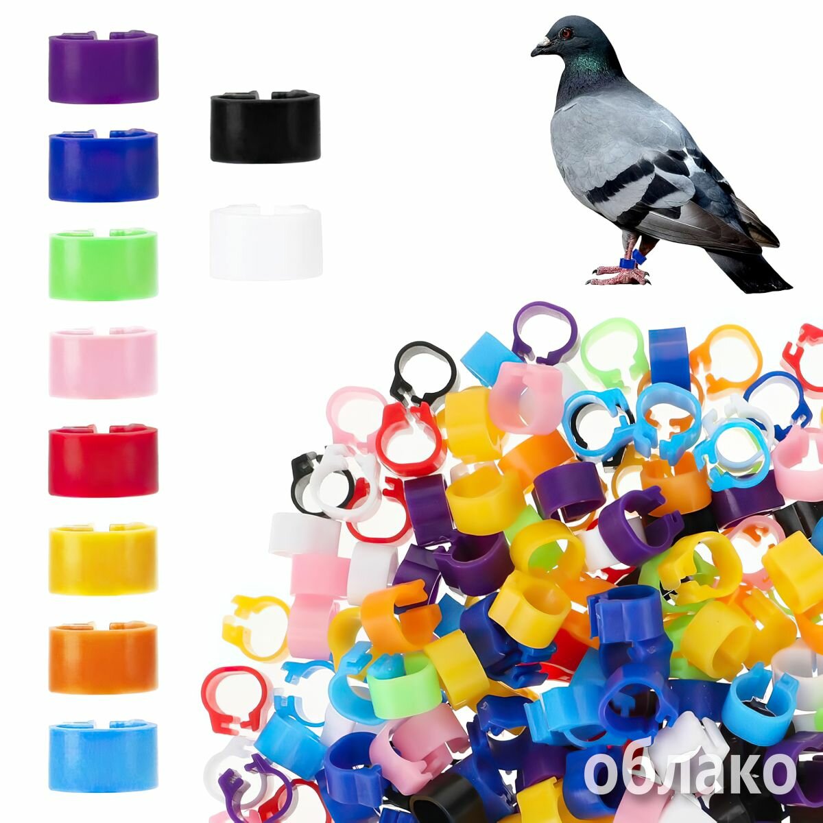 Кольца-бирки для птиц 10 мм, 100 шт, разноцветные метки для маркировки голубей, перепелов и птиц