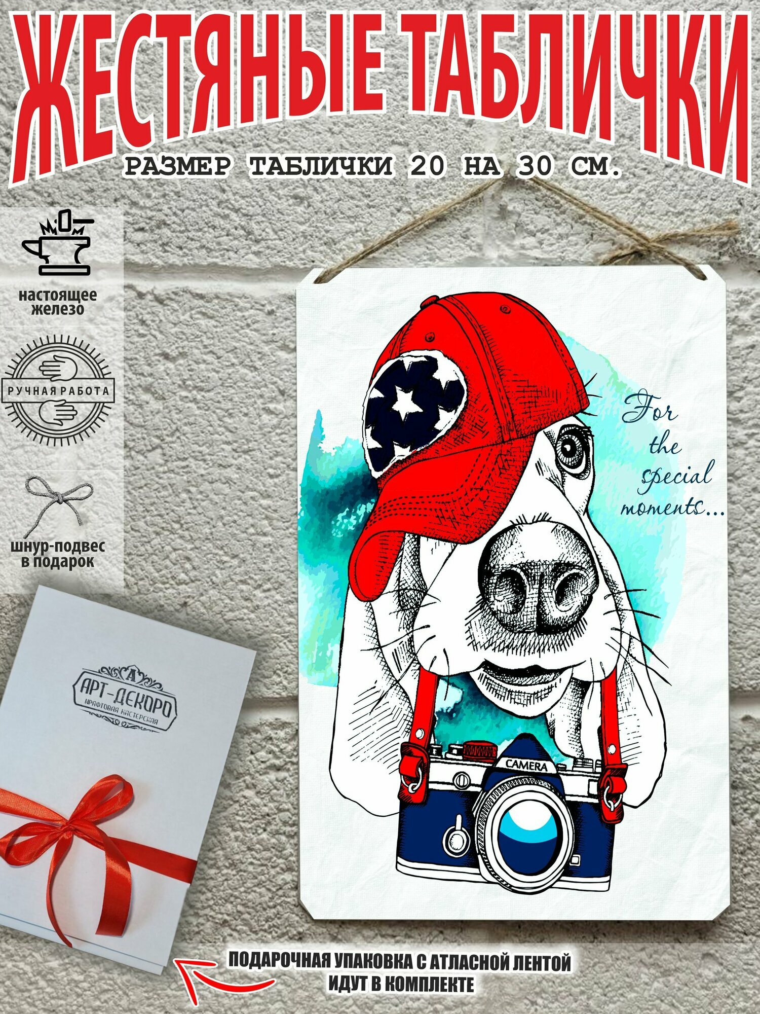 Собака фотограф арт иллюстрация постер на стену 20 на 30 см. шнур-подвес в подарок