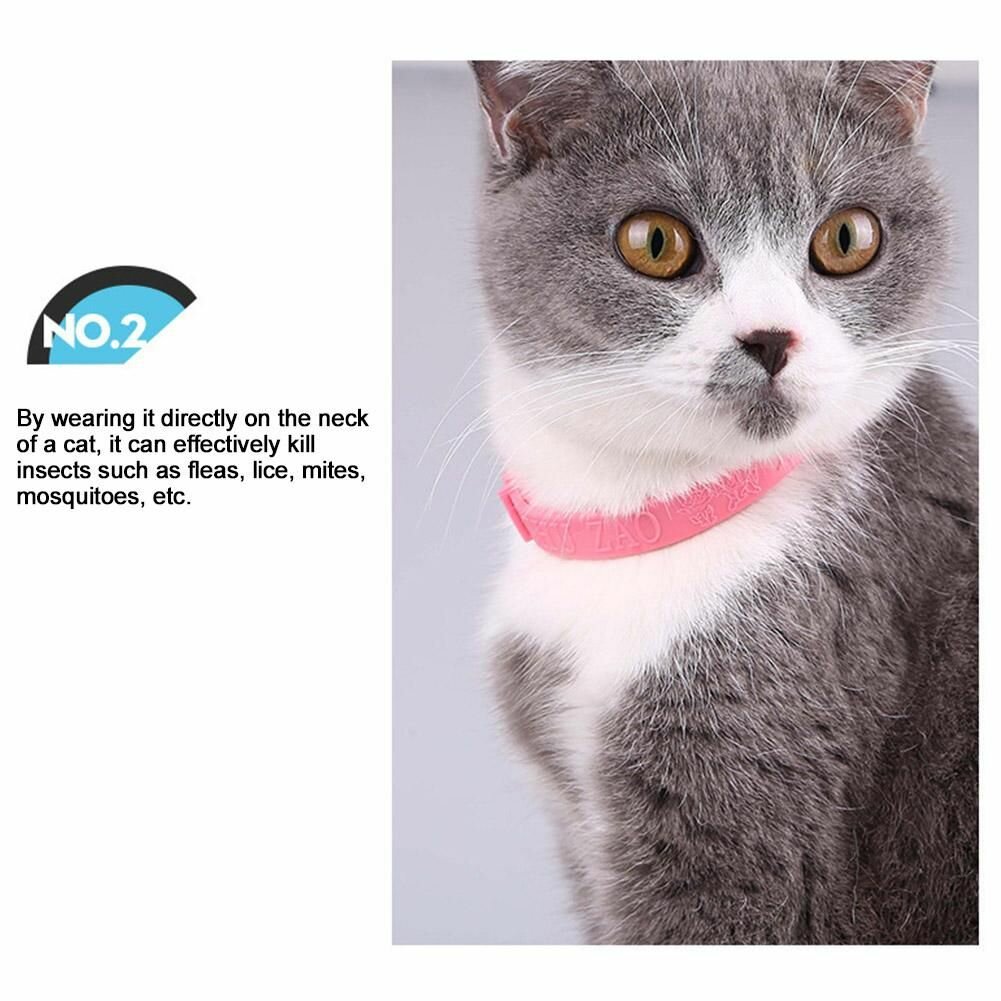 Ошейник от блох для домашних животных/против вшей, блох и клещей/для кошек