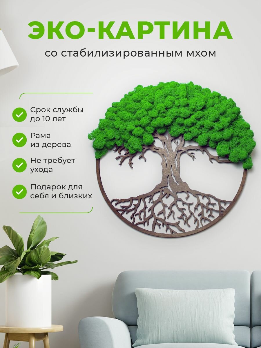 Панно из мха "Древо", диаметр 50см