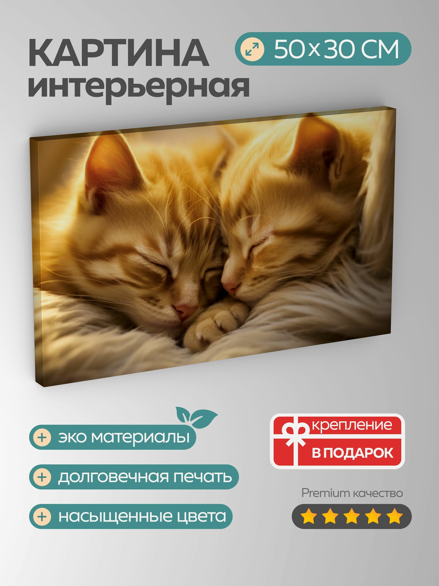 Картина на холсте интерьерная 50х30 см, котята, сон, спящие, прижимаются, лапки, тепло, уют, сверху, свет, цвета, фокус