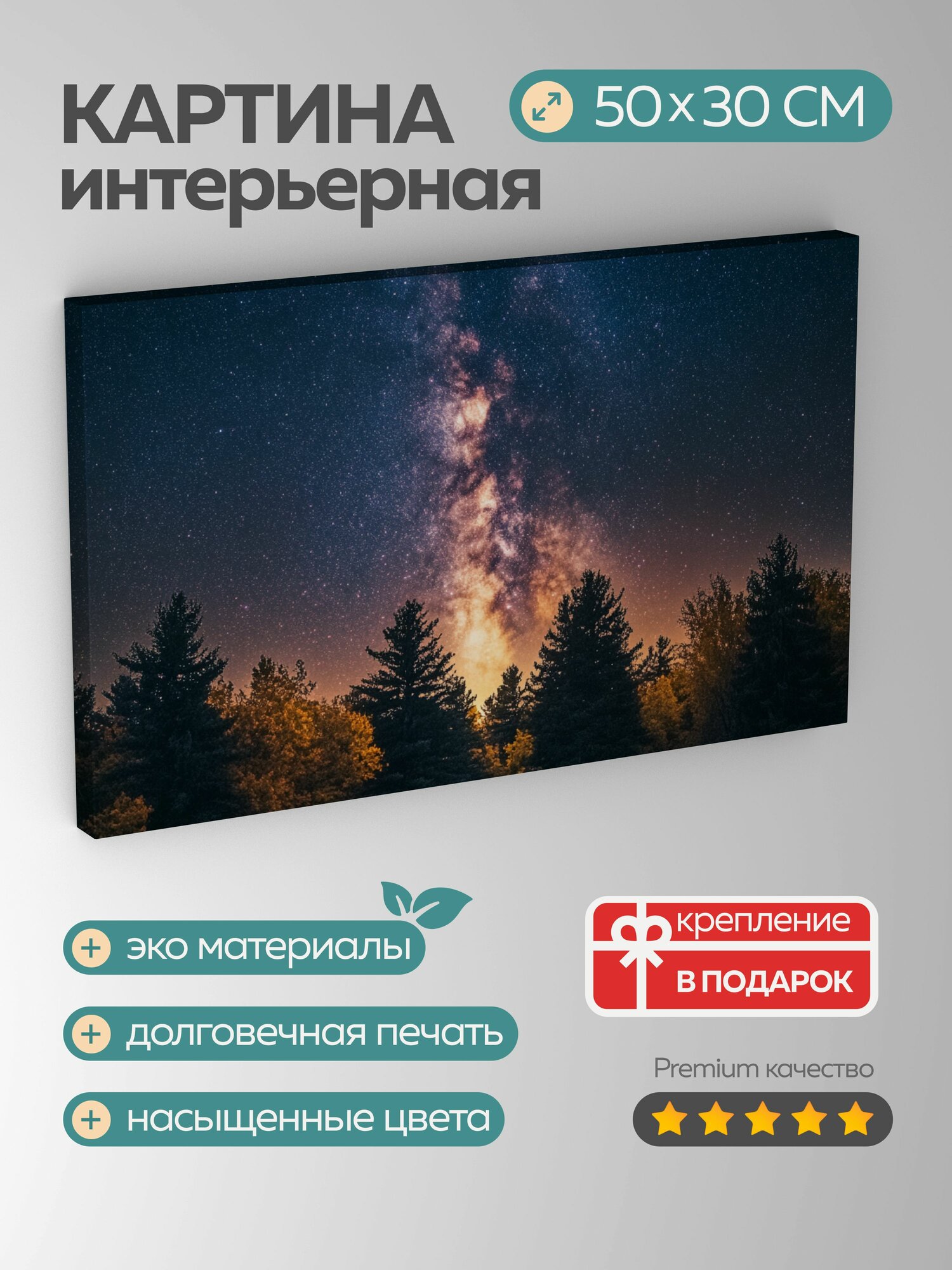 Картина на холсте интерьерная 50х30 см, Млечный Путь, астрофотография, лес, космос, Вселенная, природа, ночь, звезды