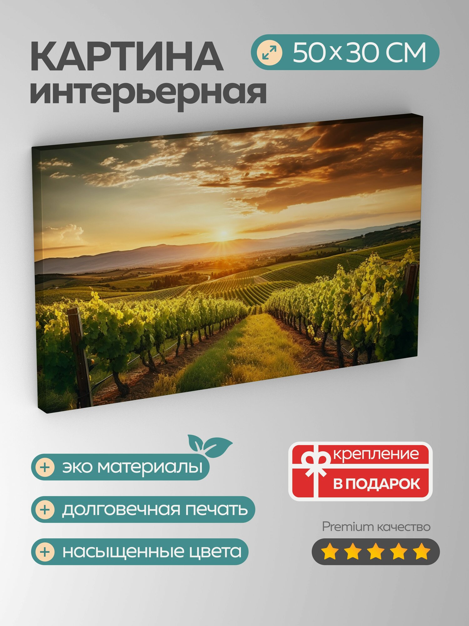 Картина на холсте интерьерная 50х30 см, фотография, тосканский виноградник, закат, ряды виноградных лоз, пологие холмы
