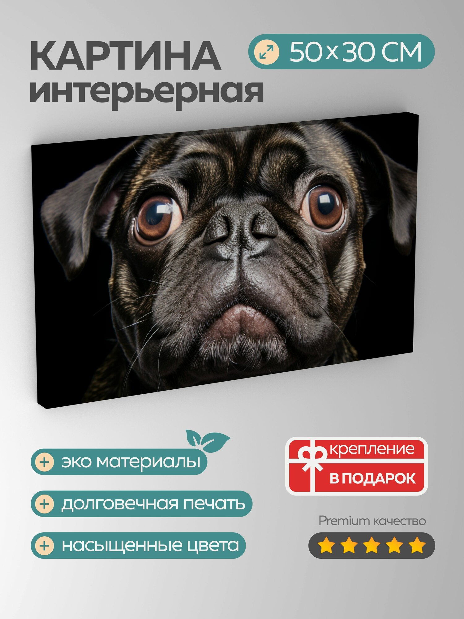 Картина на холсте интерьерная 50х30 см, мопс, морда, мимические морщинки, складки, глаза, озорный блеск