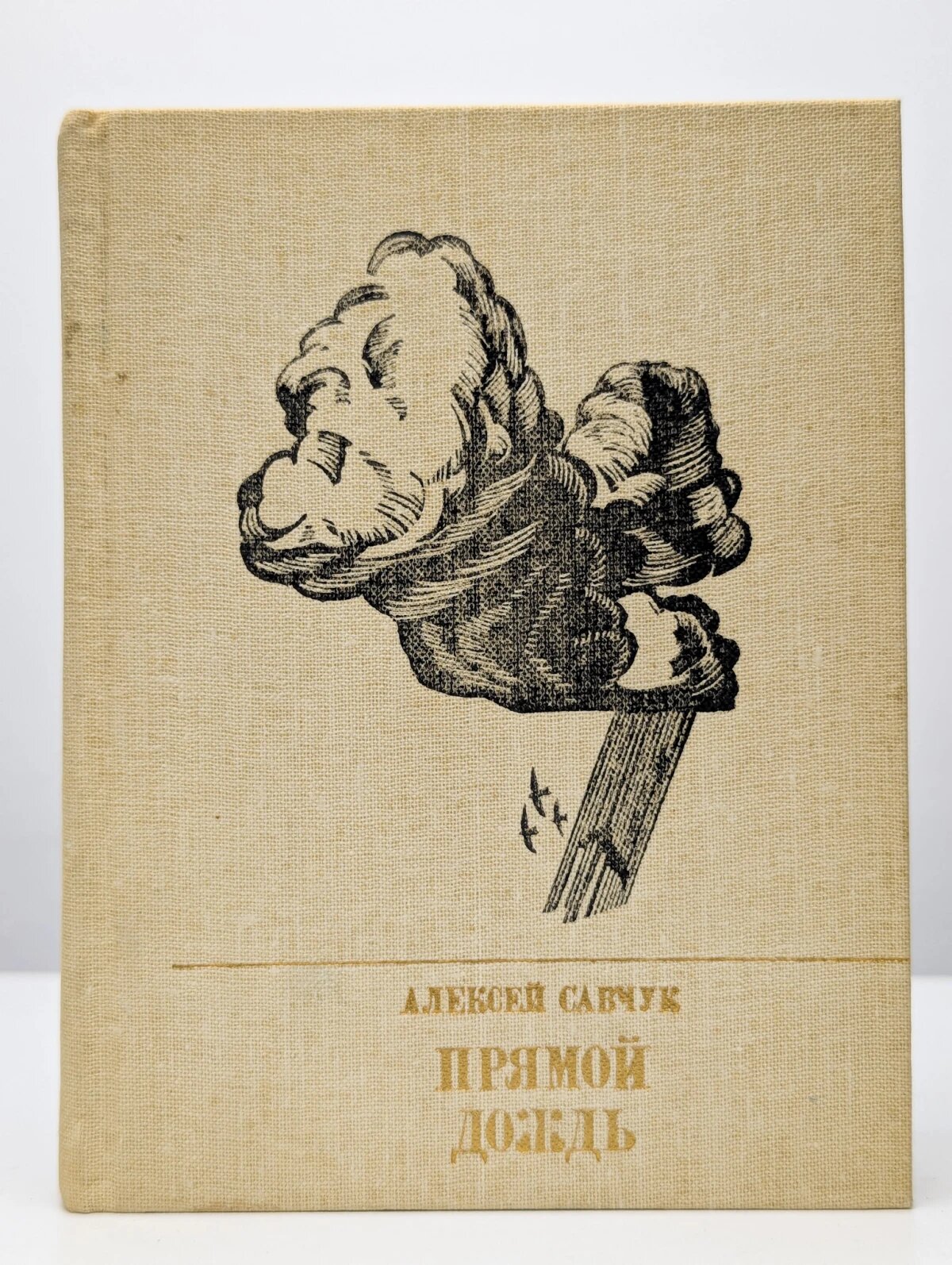 Прямой дождь
