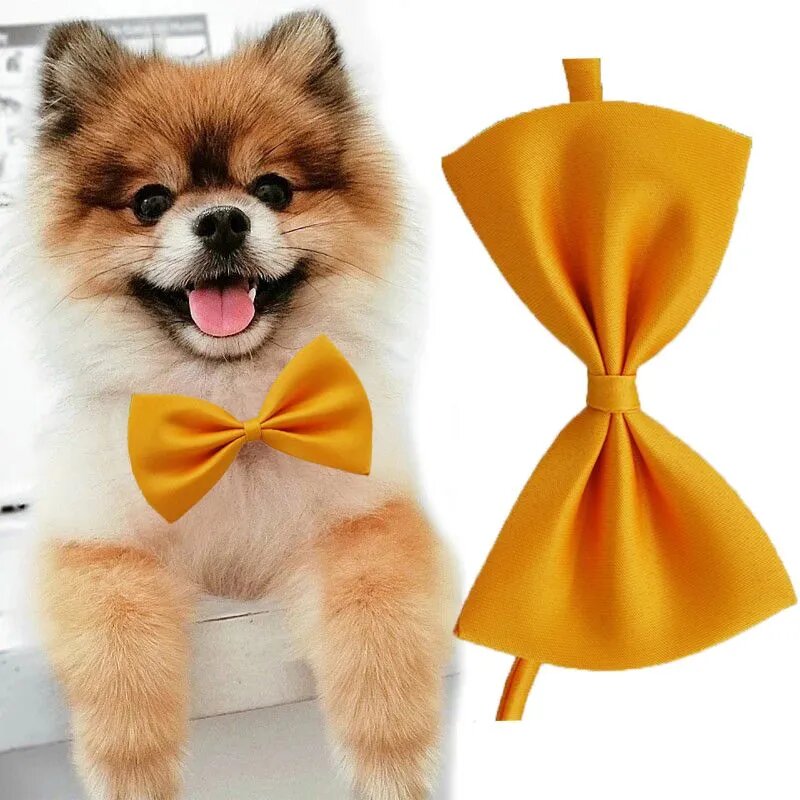 Бабочка для кота, собаки, галстук-бабочка для животных, желтая